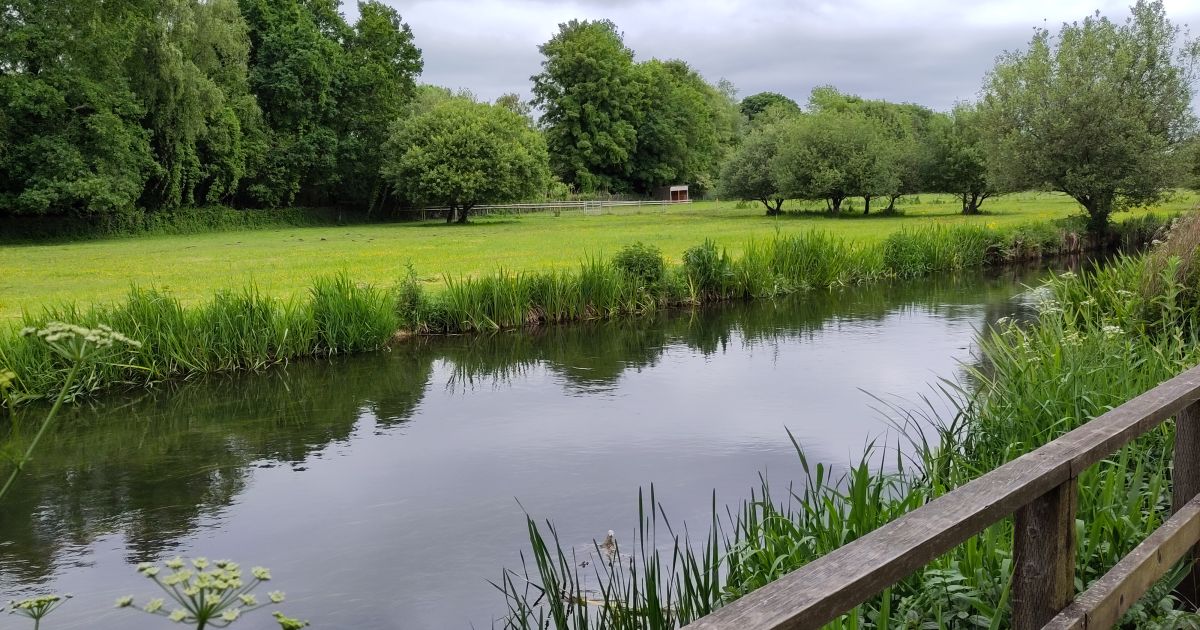 13 miles on The Itchen Way from Winchester to Cheriton - Ramblers
