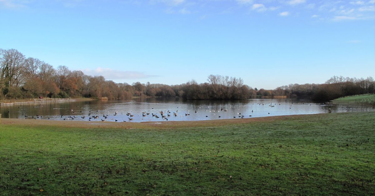 Haysden Country Park – Local Nature Reserve - Ramblers