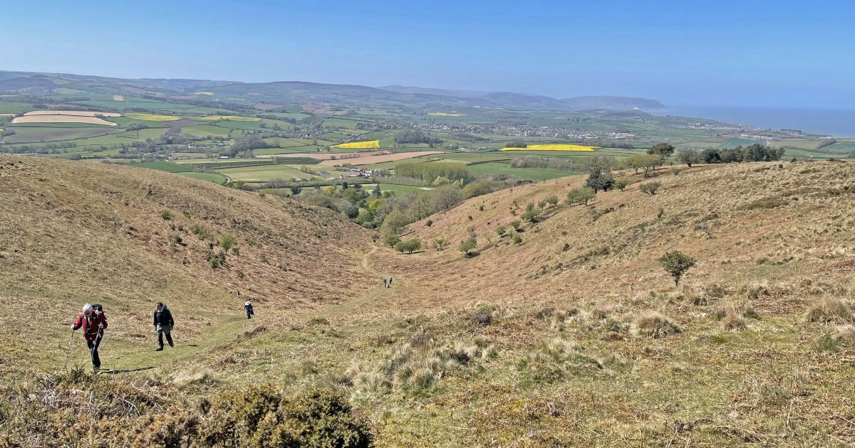 Holford, East Quantoxhead and The Quantocks - Ramblers