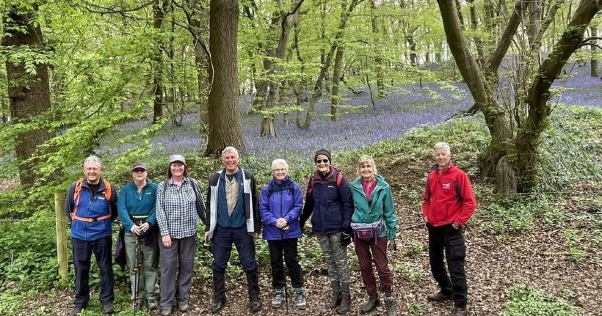 Royston Group - Ramblers