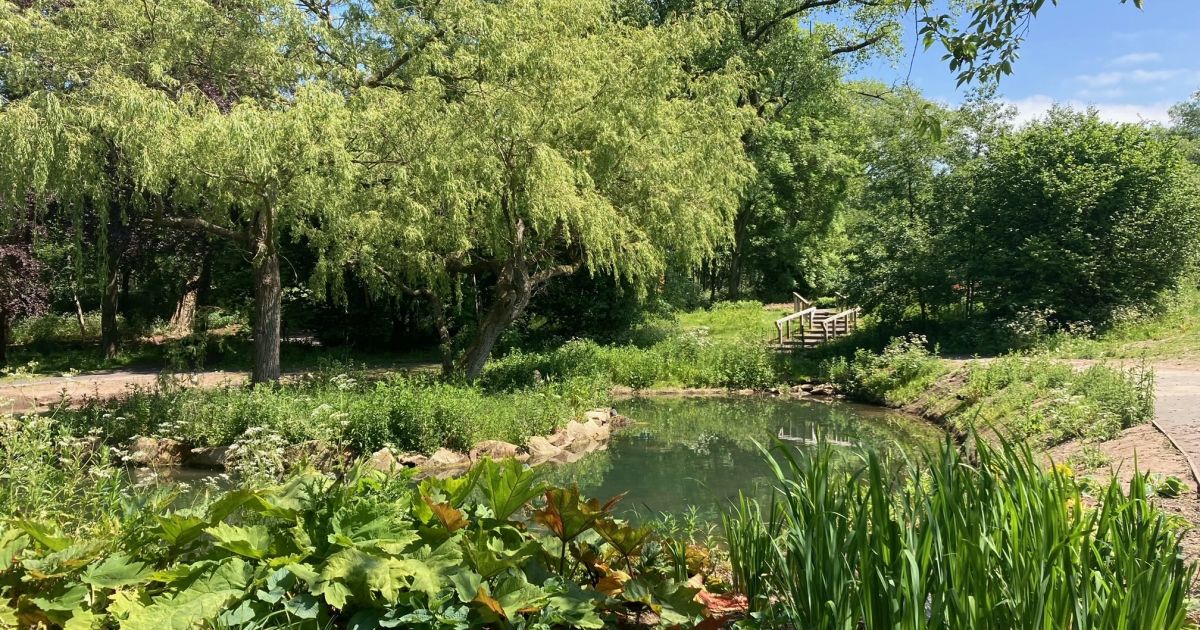 West Smethwick Park Community walk