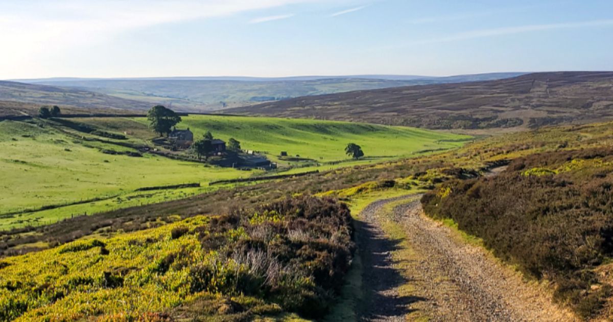 Pinchinthorpe, Percy Cross Rigg & Hanging Stone - Ramblers
