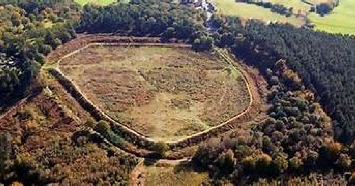 Castle Ring (Cannock Wood) - Ramblers