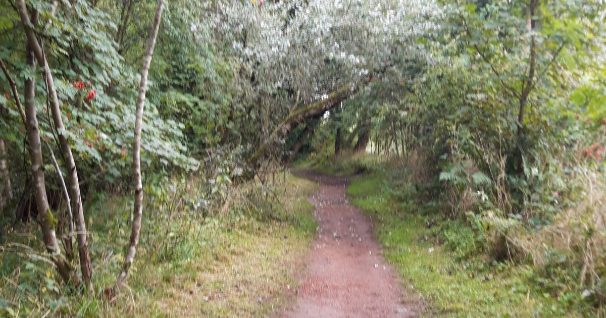 Airdrie, N Calder River & Chapelhall Woods - Ramblers