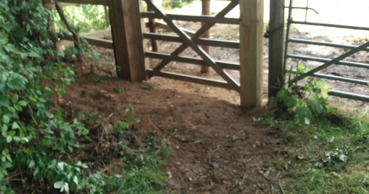 Wroxham Bure Vally Railway Coltishal - Ramblers