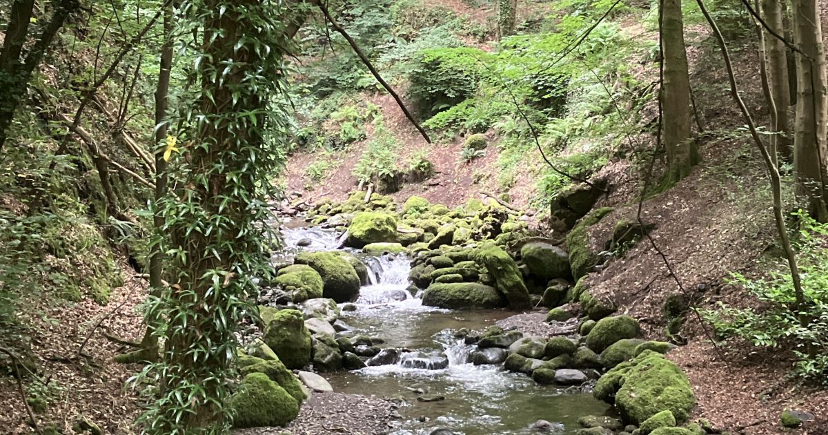 Alva Glen and The Nebit - Ramblers