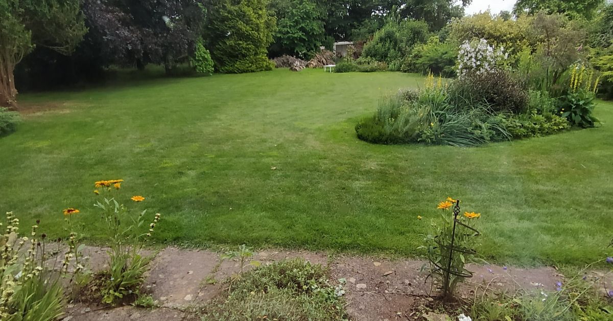 BNO - Garden Party - Ramblers