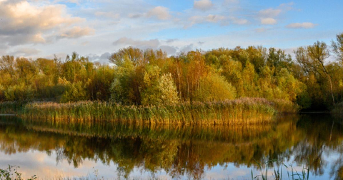 Idle Valley Nature Reserve - Ramblers