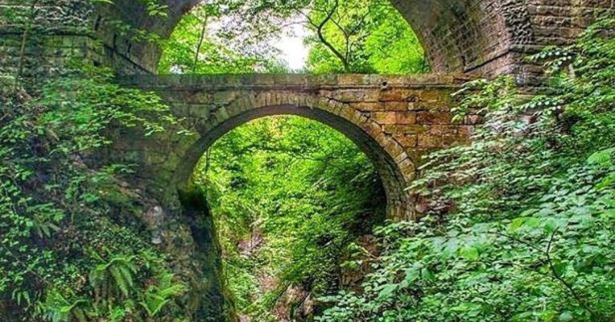 Pools of Muckhart to Rumbling Bridge - Ramblers