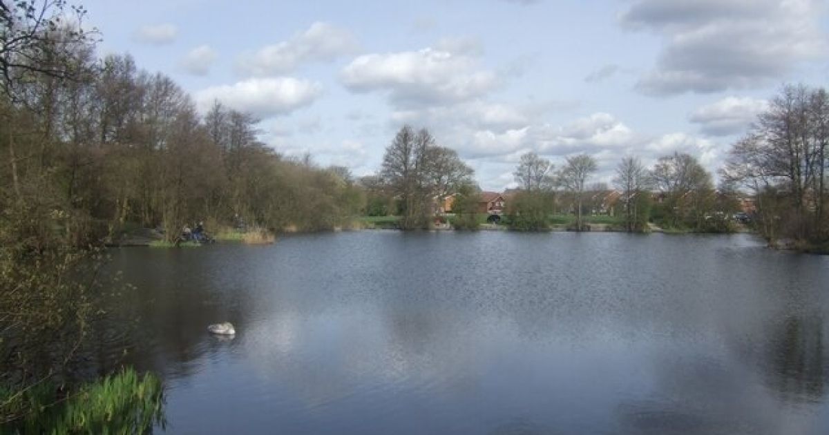 Essington Pools, Staffordshire, near Bloxwich with Helen - Ramblers
