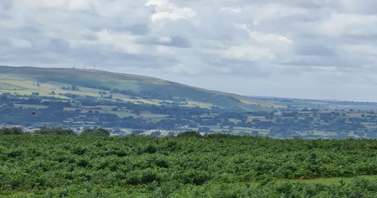 Taf Bargoed and Bedlinog Circular - Ramblers
