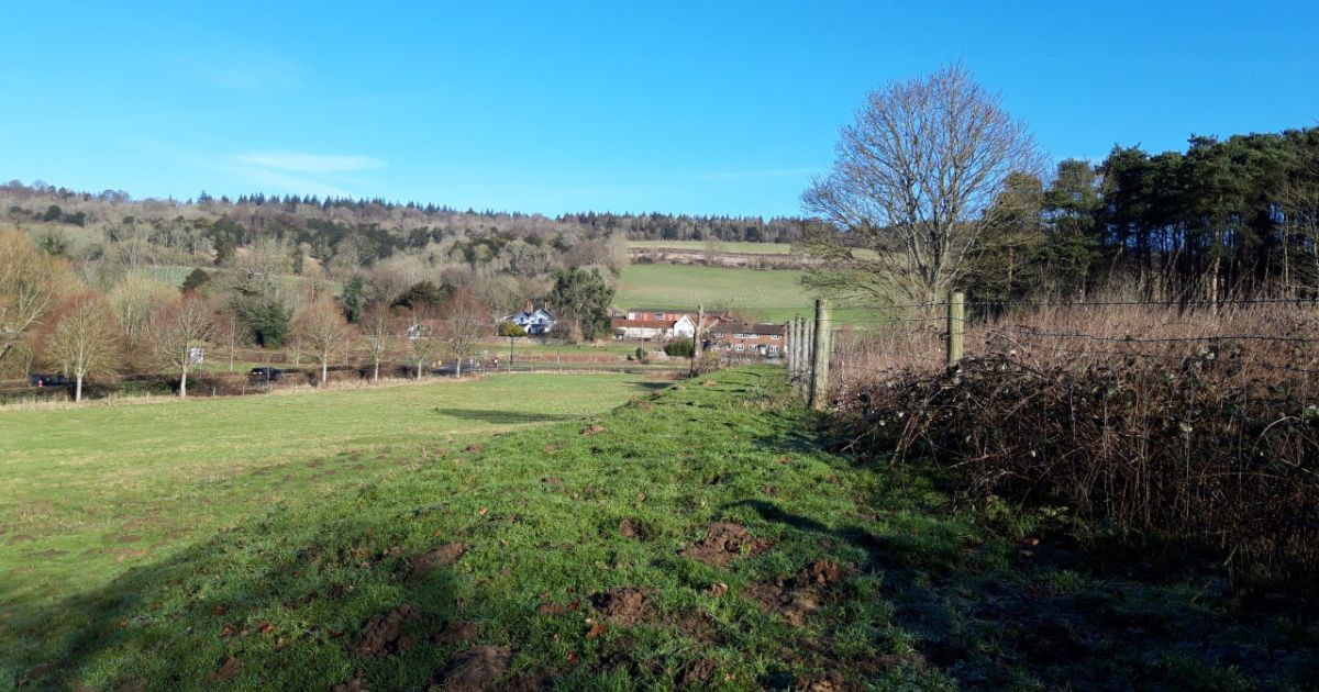 Newlands Corner and Merrow Downs - Ramblers