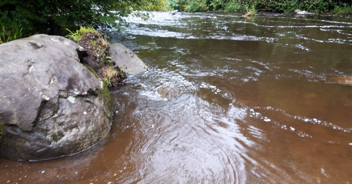 Clyde Walkway Loop - Ramblers