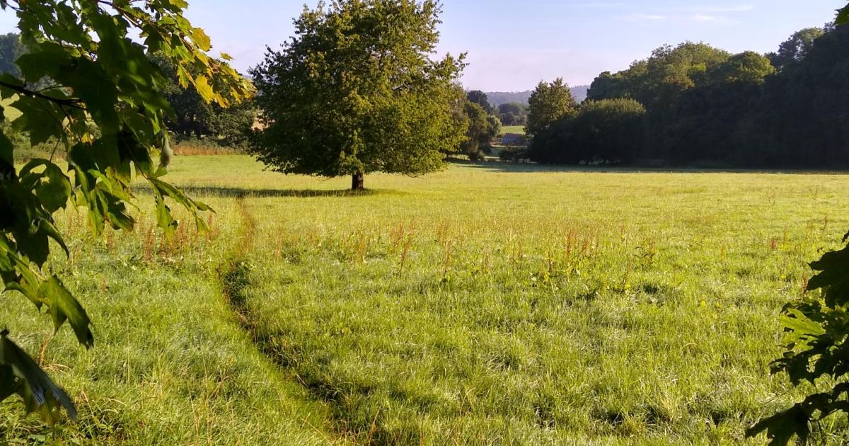 Views Around Sherfield English - Ramblers