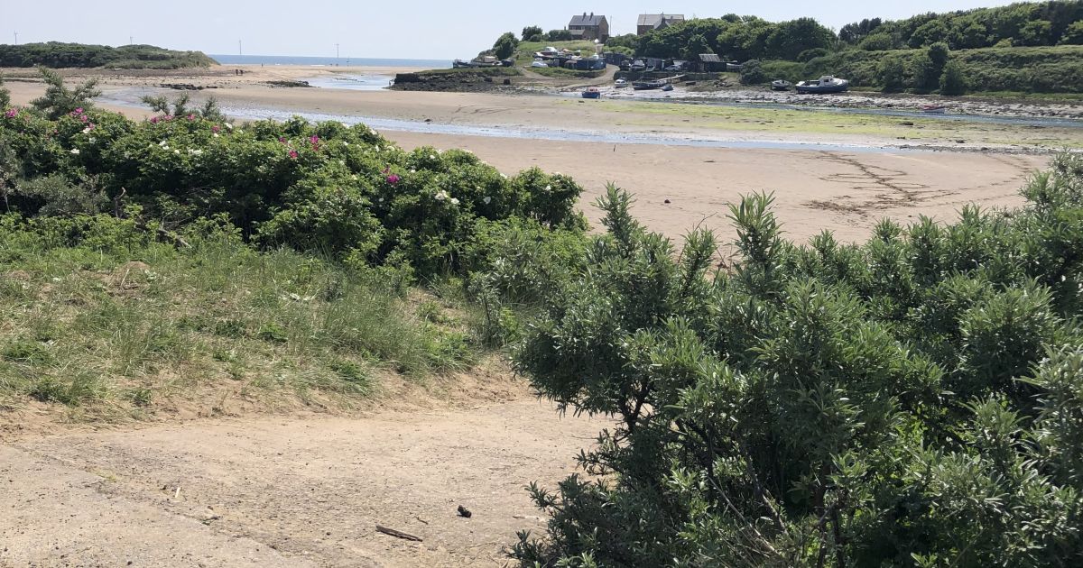 Cambois River Wansbeck Estuary - Ramblers