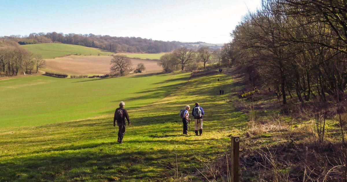 Horsebridge to the East Circular - Ramblers