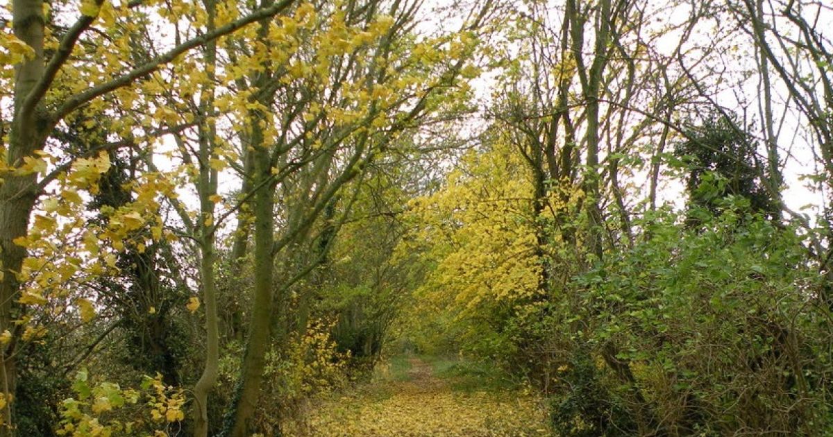 Buntry Lane, Kedington nr Haverhill