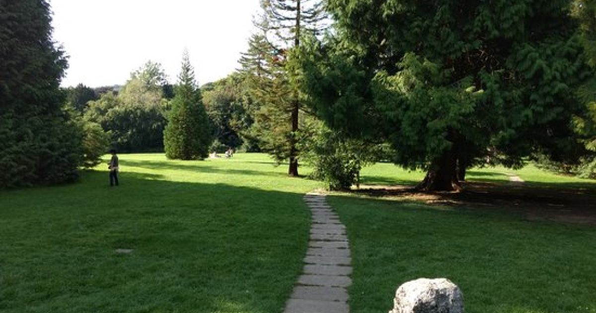 David W's Downe and back from High Elms! - Ramblers