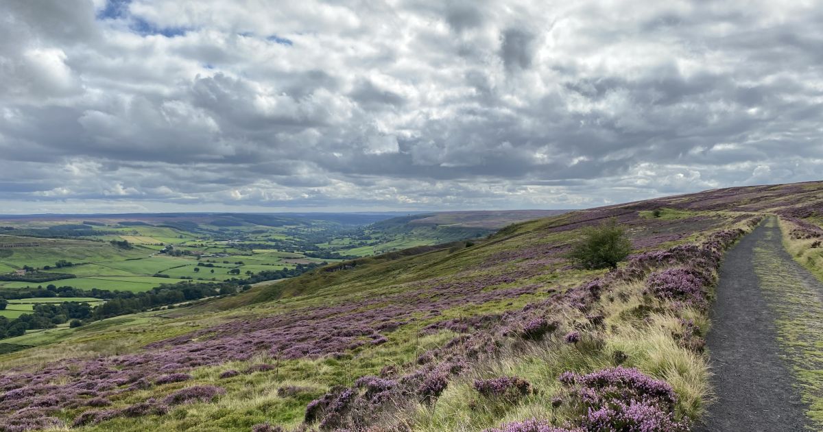 Rosedale Railway and Thorgill - Ramblers