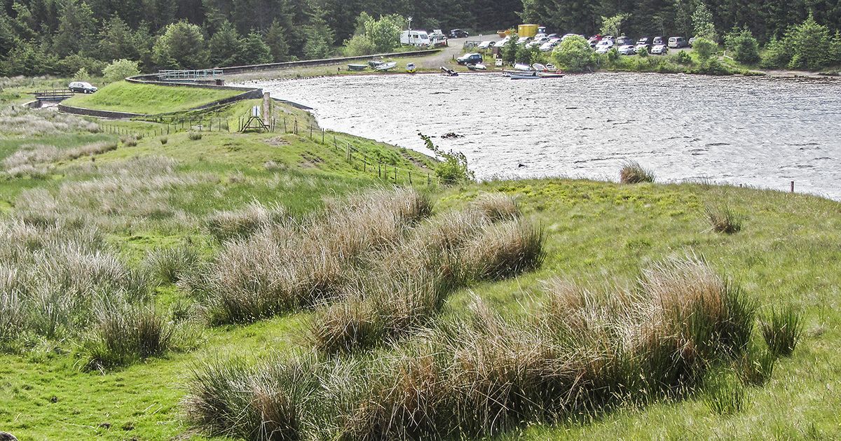 Loch Glow & Dumglow - Ramblers