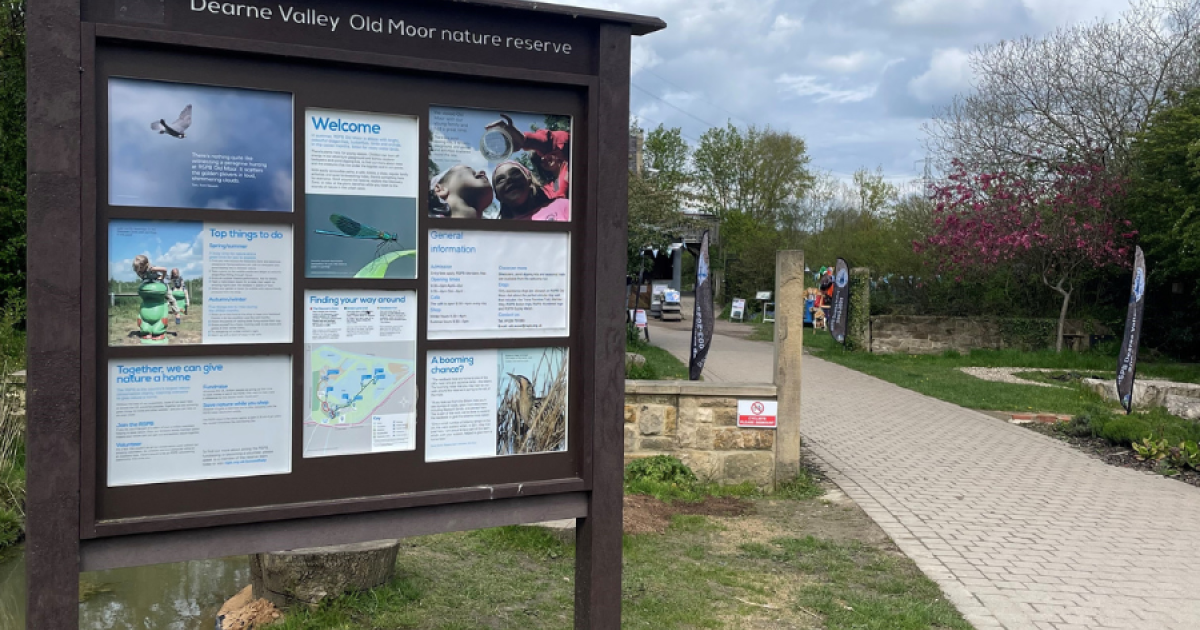 Manvers Lake Waterfront Wellbeing Walk