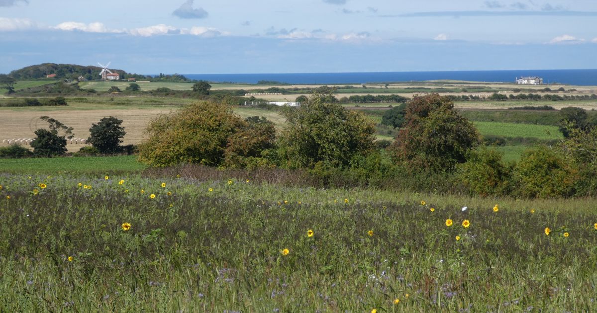Pre BBQ walk from Upper |Sheringham Village Hall - Ramblers