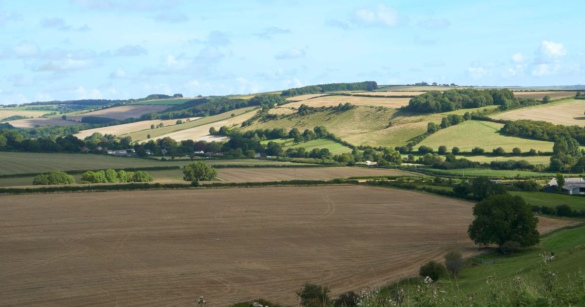 Rowlands Castle circular - Brisk Pace - Ramblers