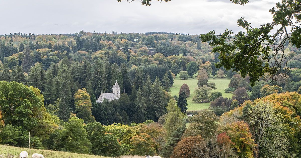 Spittalfield & Caputh circular - Ramblers