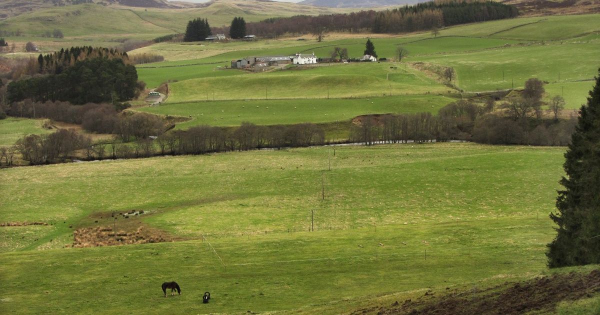 Bridge of Cally to Blairgowrie - Ramblers