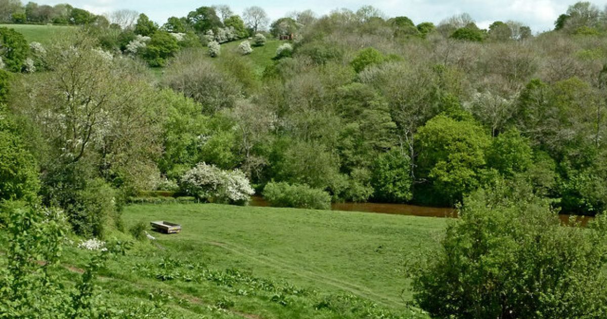 Borle Brook and Donkey Bridge - Ramblers