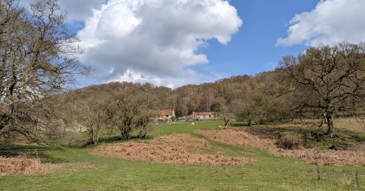 Helmsley loop - Ramblers