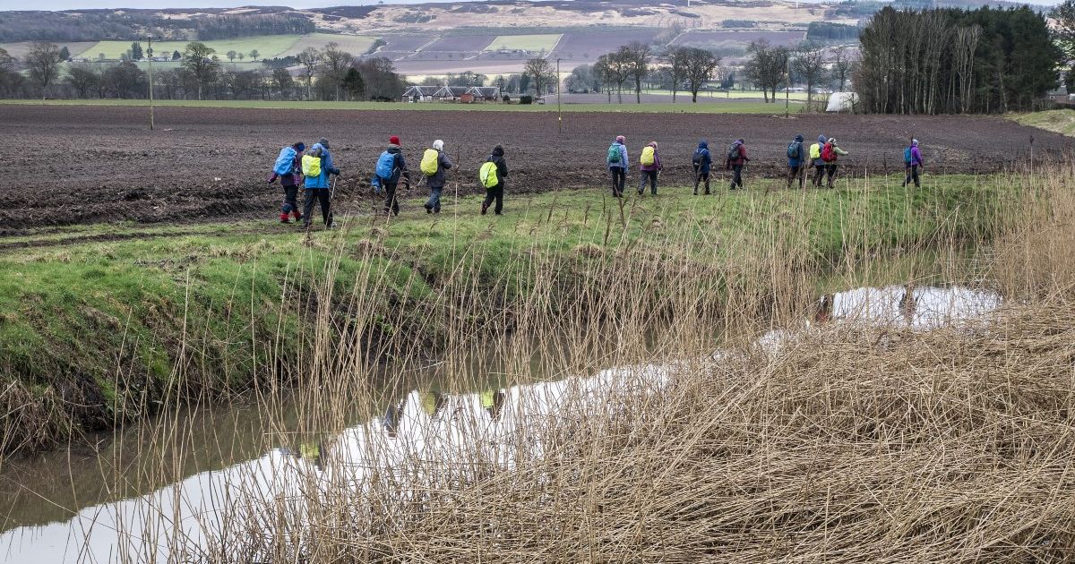 Meigle to Coupar Angus - Ramblers