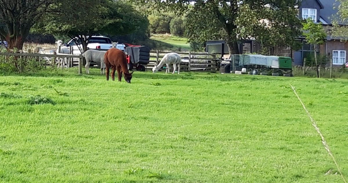 Cumbernauld Village and Westerwood golf course circular - Ramblers