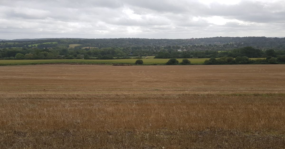 Exploring the Titsey Plantation - Ramblers