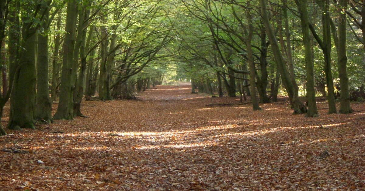 Walesby (Notts) - Ramblers