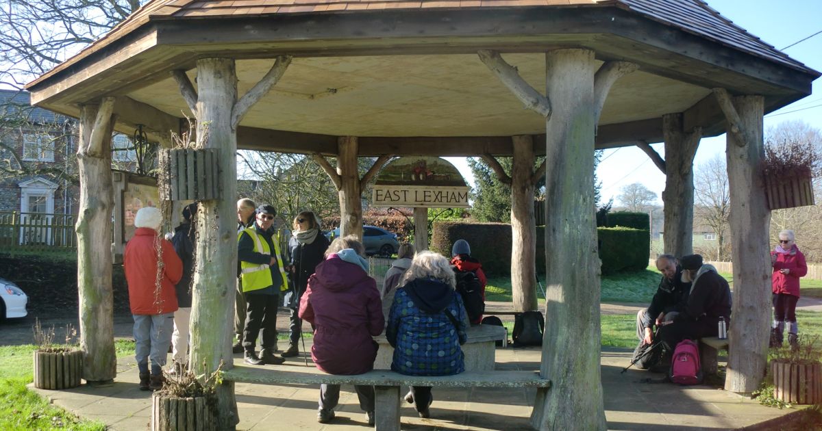 Litcham snowdrops - Ramblers