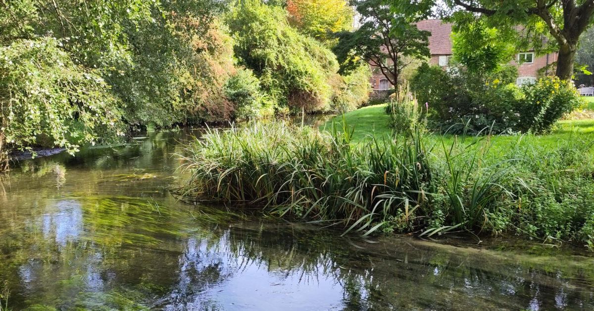 6 mile Itchen Abbas to Winchester, Along the Itchen Way - Ramblers