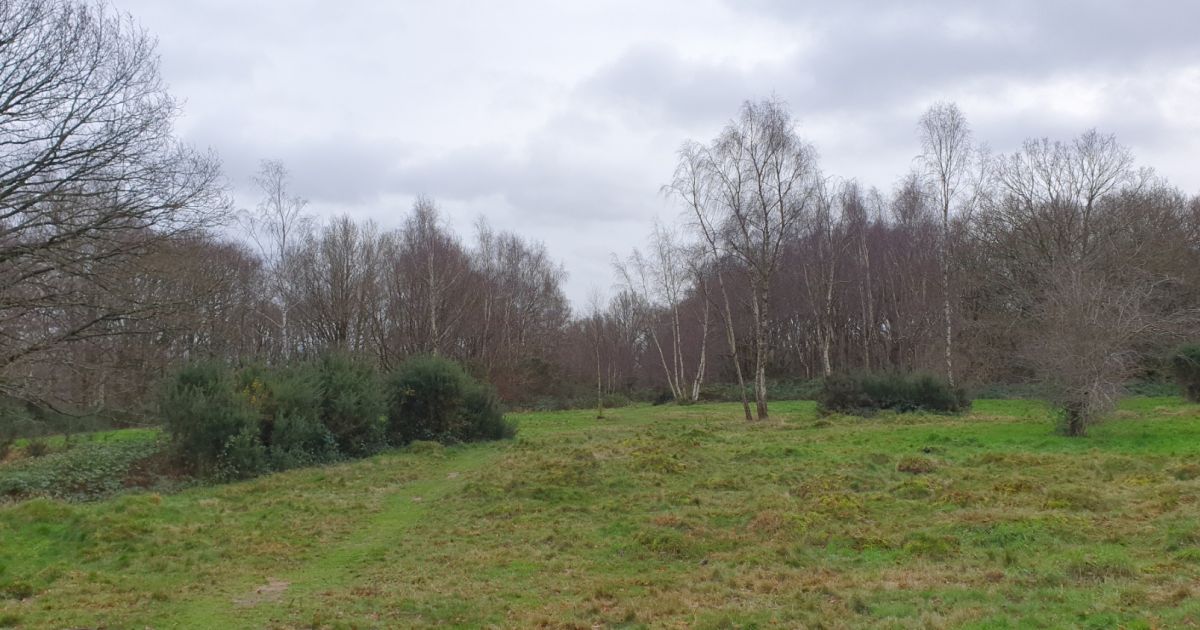 Stanmore Open Spaces - Ramblers