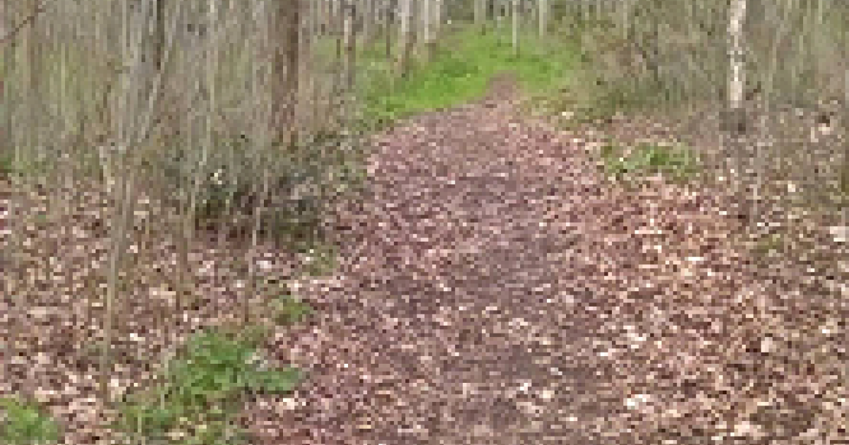 Back before Dark - Ramblers