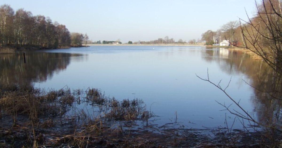 Calf Heath Reservoir and Woods and Water - Ramblers