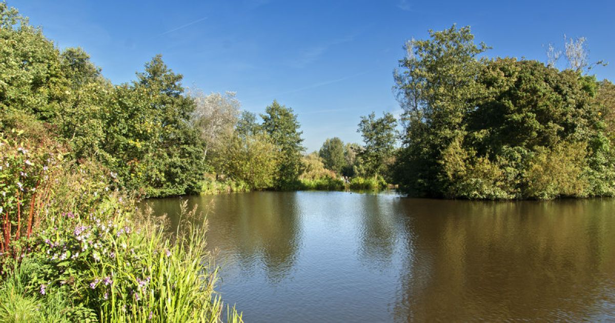 Local walk Orrell water park - Ramblers