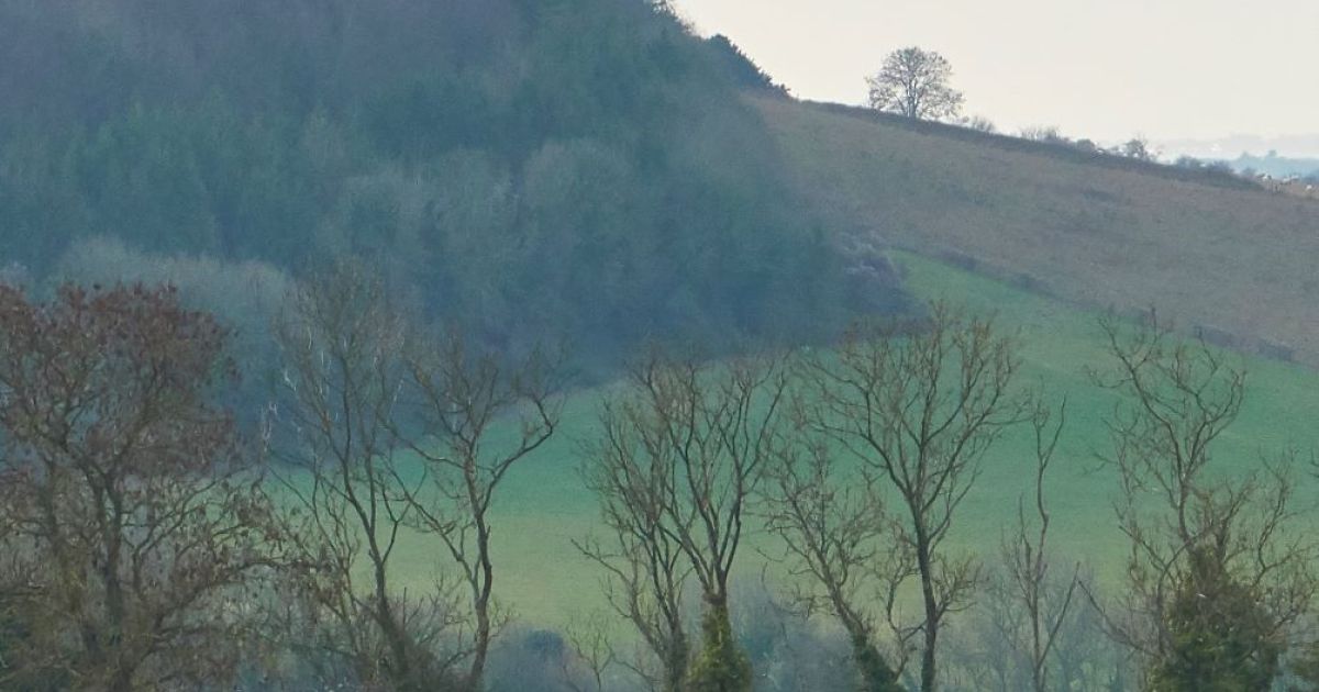 Spearywell Wood and Lockerley Circular - Ramblers