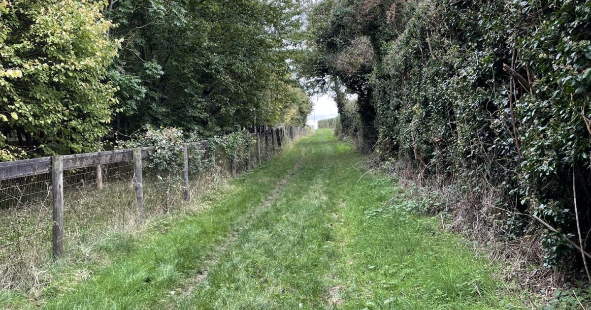 Barley and Barkway - Ramblers