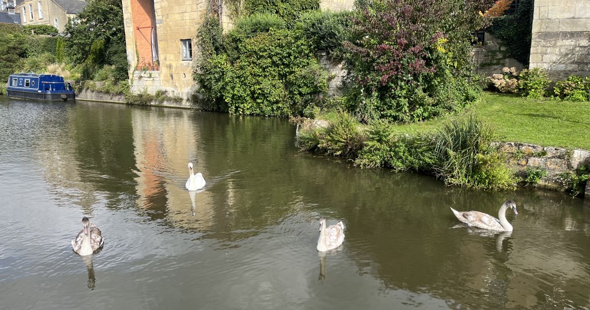 Bath Skyline Walk. This walk must be booked with the Leader. - Ramblers