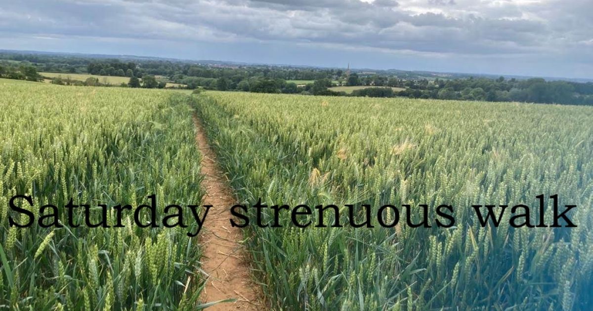 BNO - Charlton Charge ** - Ramblers