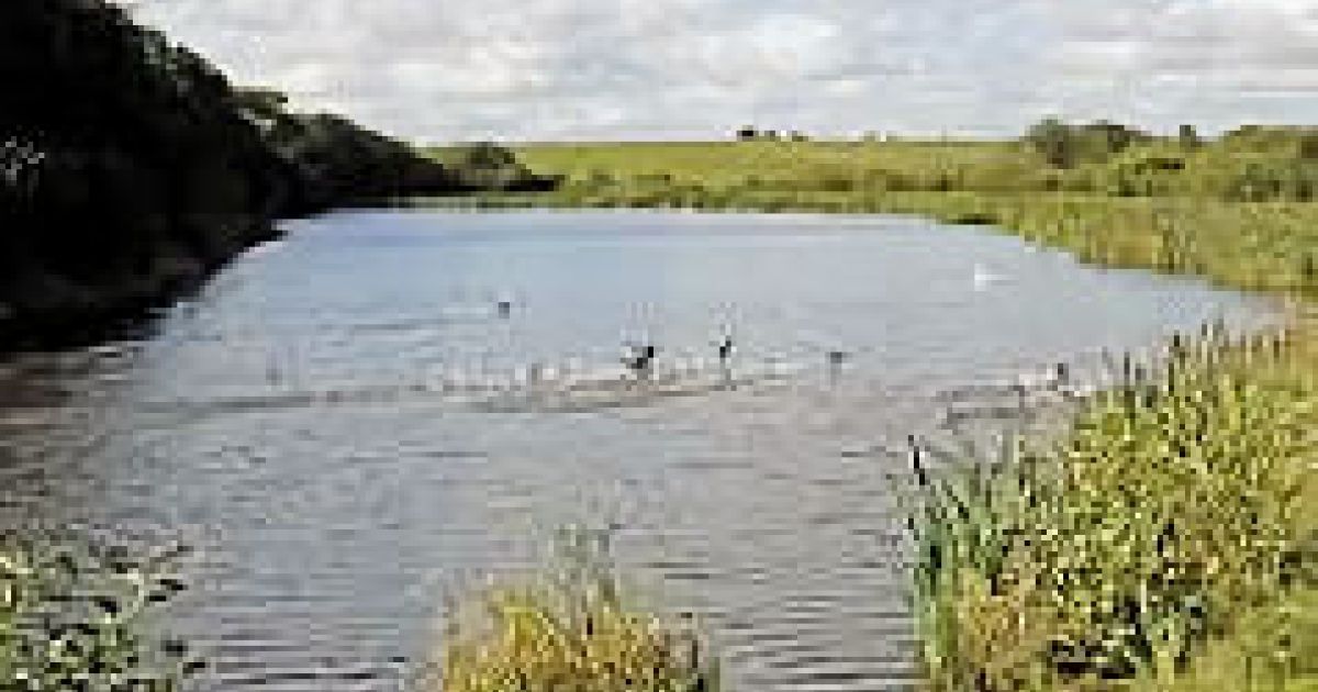 Wednesday/Friday Group - Fir Tree Flashes, Leigh