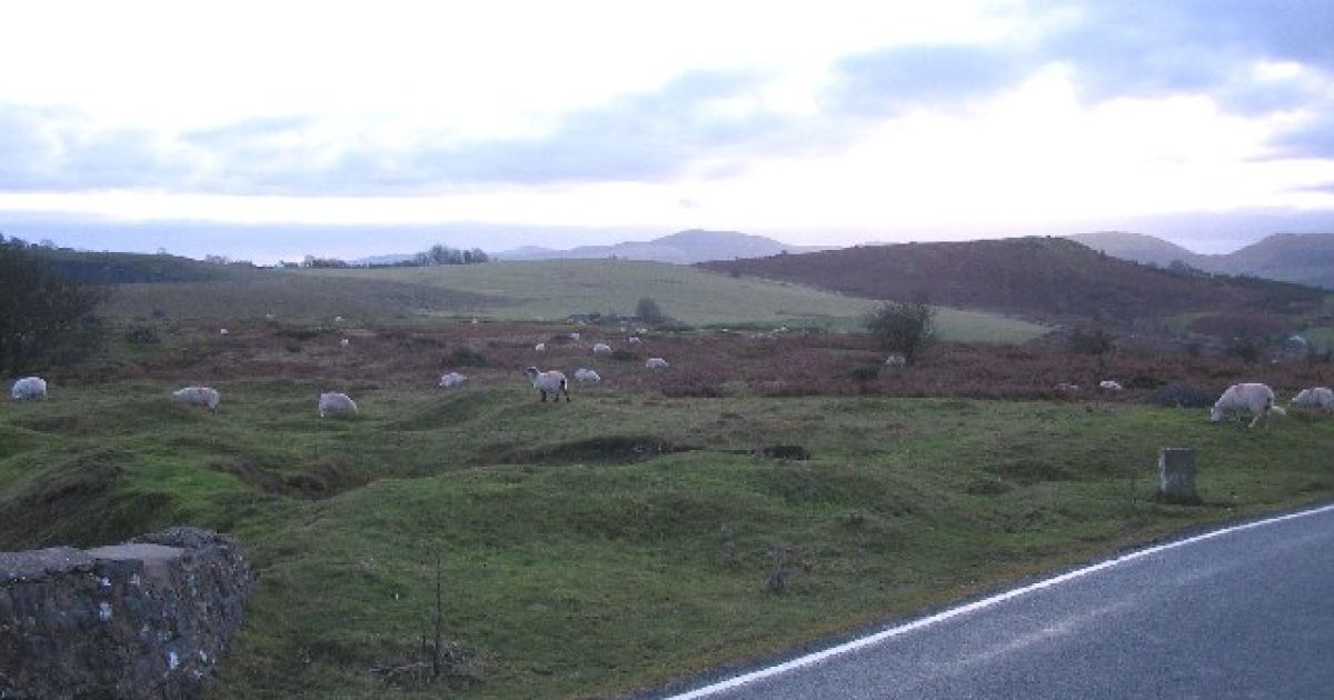 Halkyn Mountain (Evening Walk) - Ramblers