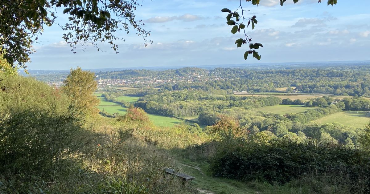 Town and Country - Ramblers