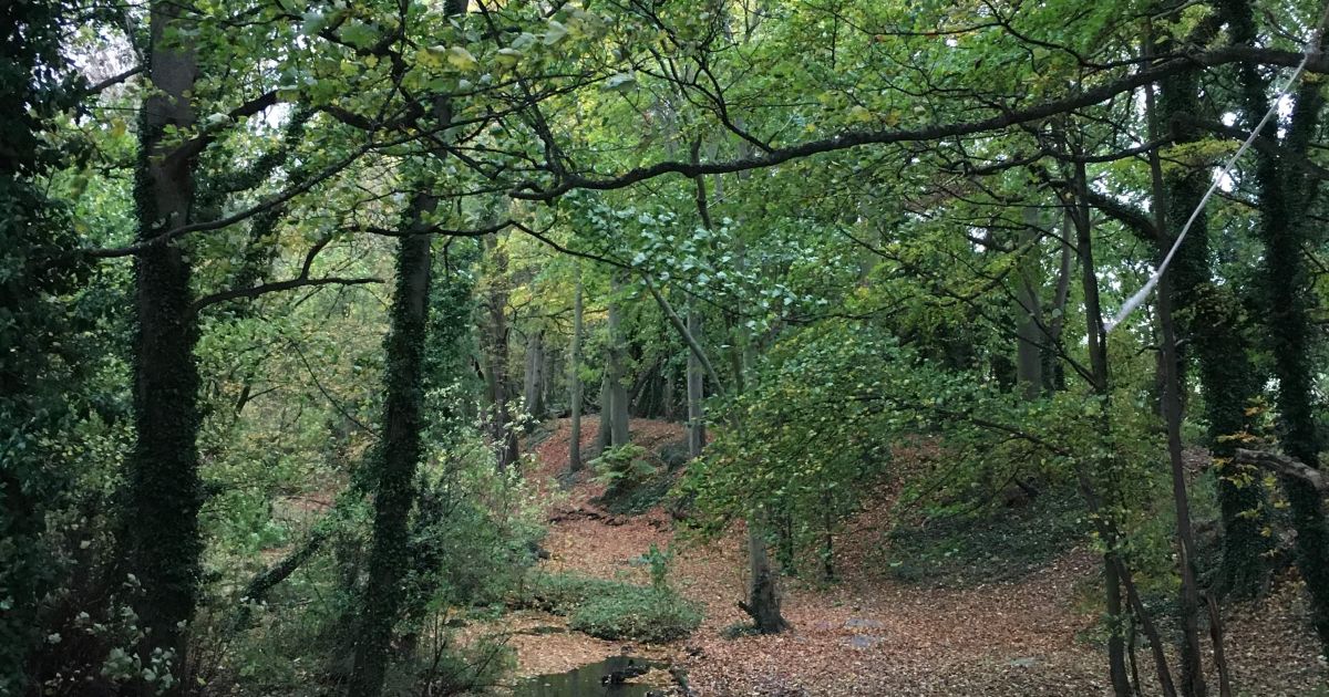 Hitchin - Oughtonhead Afternoon Walk (4 miles / 6.5km, Leisurely ...