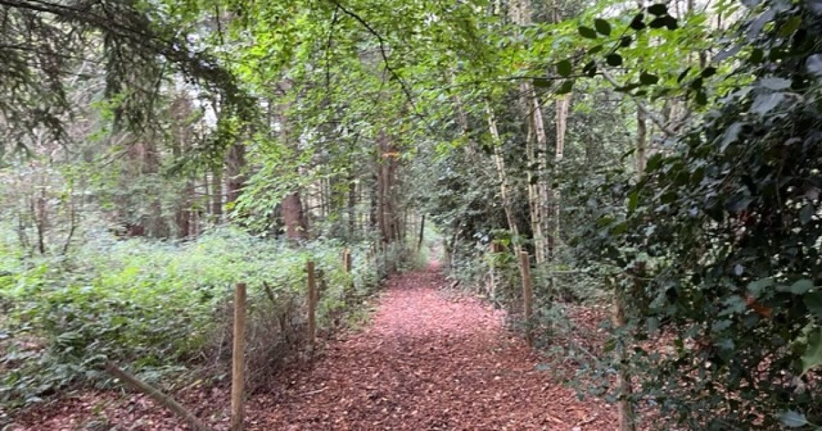 Cranbrook to Benenden - Ramblers